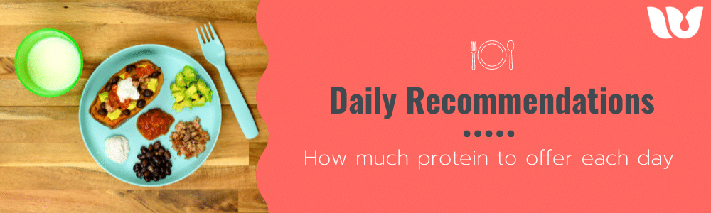 Daily protein recommendations.