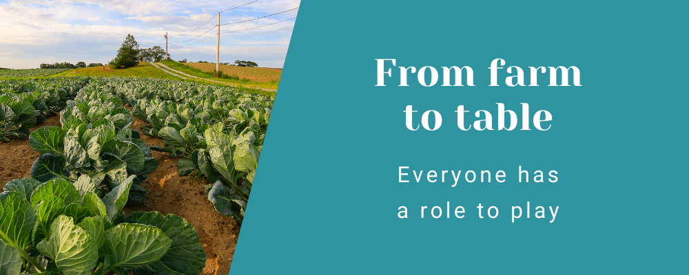 What steps does food go through to get to my table?