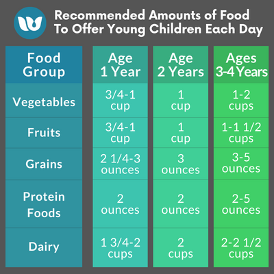 how much food most children should be offered each day.